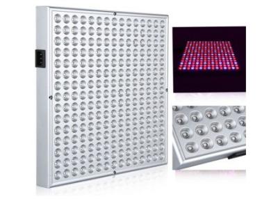 China 38W 0.5m2/0.3m Hydroponics Led Grow Lights 45W Flat Panel Indoor Plants for sale