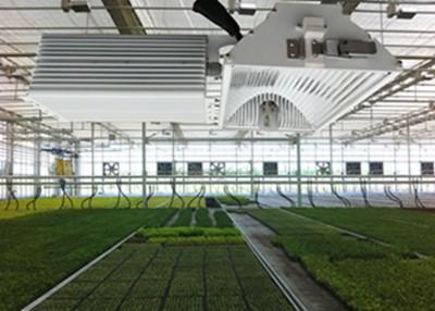 China 630W Ceramic Metal Halide Grow Light 1050µMol/S HID LED for Crops for sale