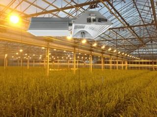 China GrowBetter A350 Plus 1000W HPS Grow Light 160000lm 155lm/w Double Ended Indoor Horticulture Lamp for sale