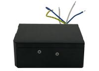 China 150W Mini Digital Greenhouse Ballast HPS MH CDM 270VAC Electronic Ballast for sale