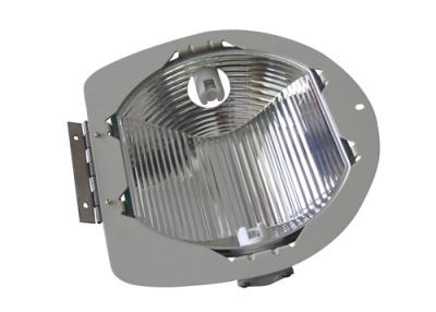 China Specular Irregular Shape Grow Light Reflectors Double Ended Glass Flood Light for sale