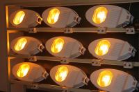 China Blue Whale 200W HPS Street Light 220000lm 2000K High Pressure Sodium Lamp AC165-265V for sale