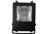 China 100W IP65 Metal Halide Billboard Flood Light 4000K for Stadium Advertising for sale