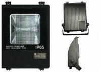 China 100W High Pressure Sodium Flood Light 2000K 80lm/W HID Grow Light for sale