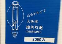 China BT220 2000W Metal Halide Fish Lamp HID Squid Fishing Lamp E40 Base 220000 Lumens for sale