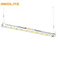 China RikoLite Slim Bar Pro 300W Full Spectrum LED Grow Light 1450umol/s IP65 Waterproof Linear Bar for sale