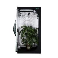 China Hydroponics 100x100x200cm 3x3ft 600D Oxford Fabric LED Grow Tent with Reflective Mylar for sale
