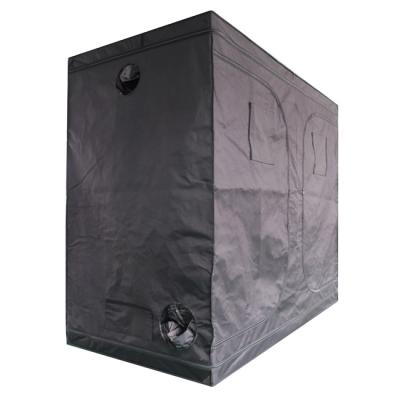 China 10x5ft 300cm Hydroponics Grow Tent 600D Fabric Indoor Plants Growing Dark Room for sale