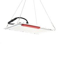 China RikoLite Easy Q 100W LED Vegetable Grow Light Quantum Board Full Spectrum 380-780nm for sale