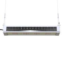 China RikoLite 240W Full Spectrum LED Grow Light Slim Bar AL1100 576 μmol/s for sale