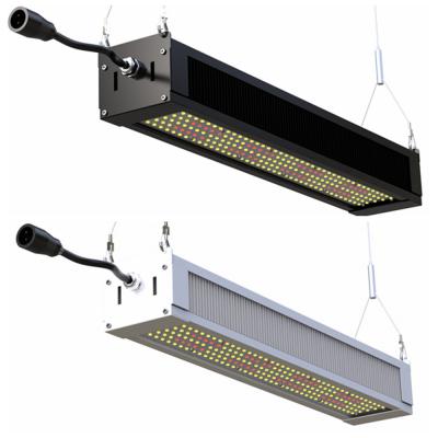 China RikoLite 240W Full Spectrum LED Grow Light Slim Bar AL1100 576 μmol/s for sale