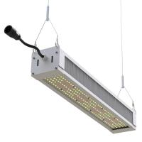China RikoLite 240W Full Spectrum LED Grow Light Slim Bar AL1100 576 μmol/s for sale