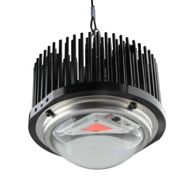 China 50W DOB LED Homemade Grow Light Kit Full Spectrum 3000K AC110V 220V for sale