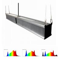 China Rikolite Slim Bar 800W 2.7 μmol/J Greenhouse Hybrid LED Grow Light 1000W Horticulture for sale