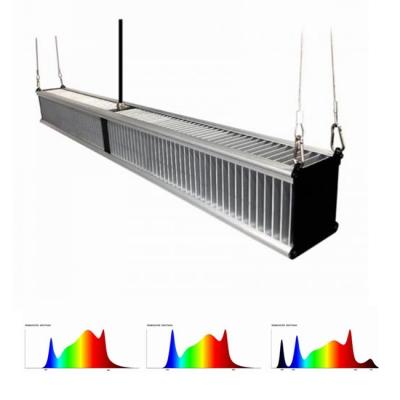 China Rikolite Slim Bar 800W 2.7 μmol/J Greenhouse Hybrid LED Grow Light 1000W Horticulture for sale
