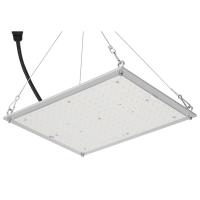 China RikoLite 100W 277V Hydroponics LED Grow Light Quantum Board 167.3umol/s for sale