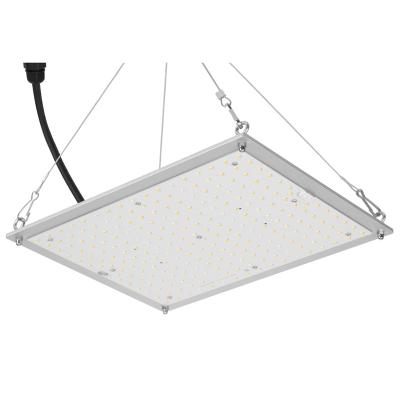 China RikoLite 100W 277V Hydroponics LED Grow Light Quantum Board 167.3umol/s for sale