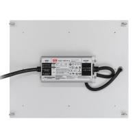China RikoLite 100W 277V Hydroponics LED Grow Light Quantum Board 167.3umol/s for sale