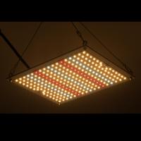 China RikoLite 100W 277V Hydroponics LED Grow Light Quantum Board 167.3umol/s for sale