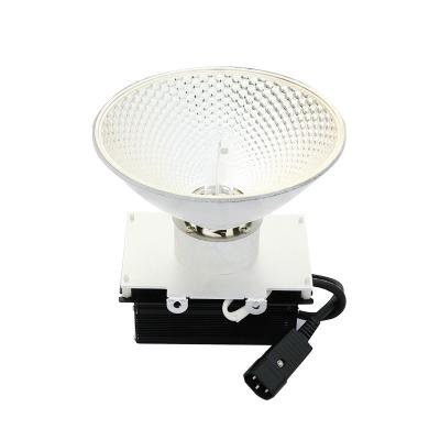 China Full Spectrum CMH 150W Grow Light 265VAC 100Hz Indoor Plant Lighting System for sale