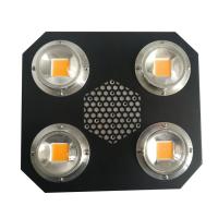 China Rikolite 200W COB LED Grow Light Full Spectrum 380-780nm UV AC85-265V Indoor Plant for sale