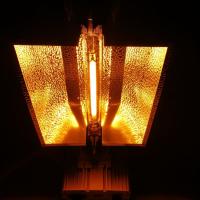 China 1000W HPS Double Ended Grow Lights Remote Control Lighting Solution 2100umol/s for sale