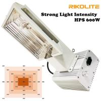 China Air Pro HPS 600W High Intensity Grow Light for Greenhouse Tomato Cultivation for sale