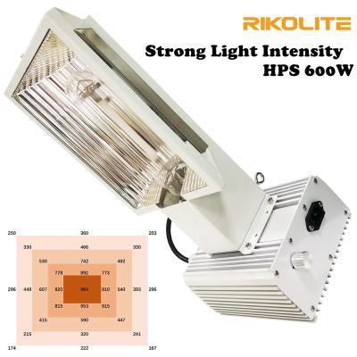 China Air Pro HPS 600W High Intensity Grow Light for Greenhouse Tomato Cultivation for sale
