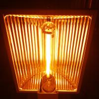 China Hydroponic 600W HPS Grow Light 1150 μmol/s PPF Dimmable Greenhouse Lamp for sale