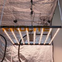 China 800W Foldable LED Grow Light Samsung LM301H Osram 660nm 730nm Full Spectrum for 5x5 Tent for sale