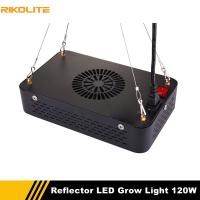 China 120W 510umol Full Spectrum LED Grow Light 60x5W EPISTAR Chips Indoor Plant for sale