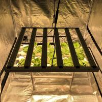 China Driver Free Full Spectrum LED Grow Light 600w Ballast Compatible for Agriculture for sale