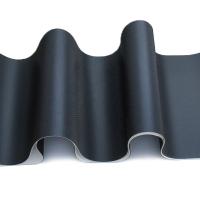 China Oil-Resistant Heat-Resistant PVC Conveyor Belt with Customized Thickness for Treadmill Running Belt for sale