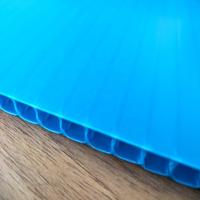China UV Stabilized Fire Retardant Anti Static Plastic Hollow Sheet and PP Corrugated Twin Plastic Sheet for sale