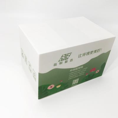 China PP Plastic Corrugated Fish Box 5mm Anti Abrasion Impact Resistance Frozen Seafood for sale
