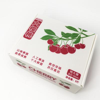 China Custom Corrugated PP Lychee Fruit Gift Box 4mm Abrasion Resistance Retain Freshness for sale