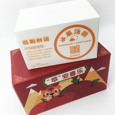 China Customized Hollow Board Plastic Packaging Box 3mm Food Storage for sale