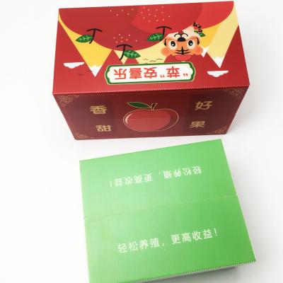 China FDA Eco Friendly Reusable Corrugated Plastic Boxes For Universal Package for sale
