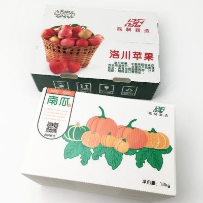 China Custom Corrugated Plastic Carton 3mm Impact Resistant Anti Bacteria Pumpkin Freshness Package for sale