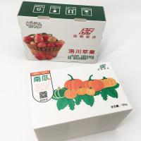 China Custom Corrugated Plastic Carton 3mm Impact Resistant Anti Bacteria Pumpkin Freshness Package for sale