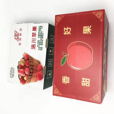 China Heavy Duty Corrugated Plastic Storage Boxes Foldable CMYK Printing for sale