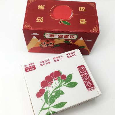 China Reusable Corrugated Plastic Box 4mm Waterproof Impact Resistant Polypropylene Carton for sale