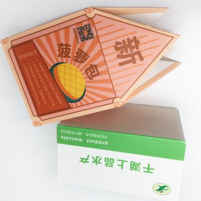 China Moisture Resistant Corrugated PP Vegetable Carton Box 2mm 3mm 4mm 5mm Custom Size for sale