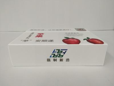 China Anti Mold Gift White Corrugated Boxes Packaging Anti Rodent for sale