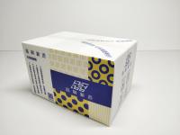 China Inorganic Powder Corrugated Plastic Carton Waterproof Anti Mold 1000pcs MOQ for sale