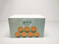 China Anti Mold Fruit Corrugated Plastic Storage Boxes Waterproof 20pcs per Pack Custom Sizes for sale