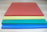 China Degradable Hollow SGS Twin Wall Polypropylene Sheet 250g/Sqm for sale