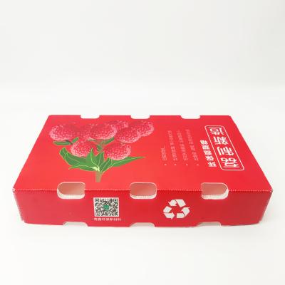 China Leiser Inorganic Plastic Composite Corrugated Box Custom Size Eco-friendly Storage for sale