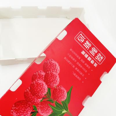 China Leiser Inorganic Plastic Composite Corrugated Box Waterproof Stackable 600x400mm for sale