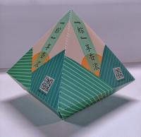 China Custom Green Triangle Corrugated Plastic Packaging Boxes 4C Waterproof Anti Rodent Durable for sale